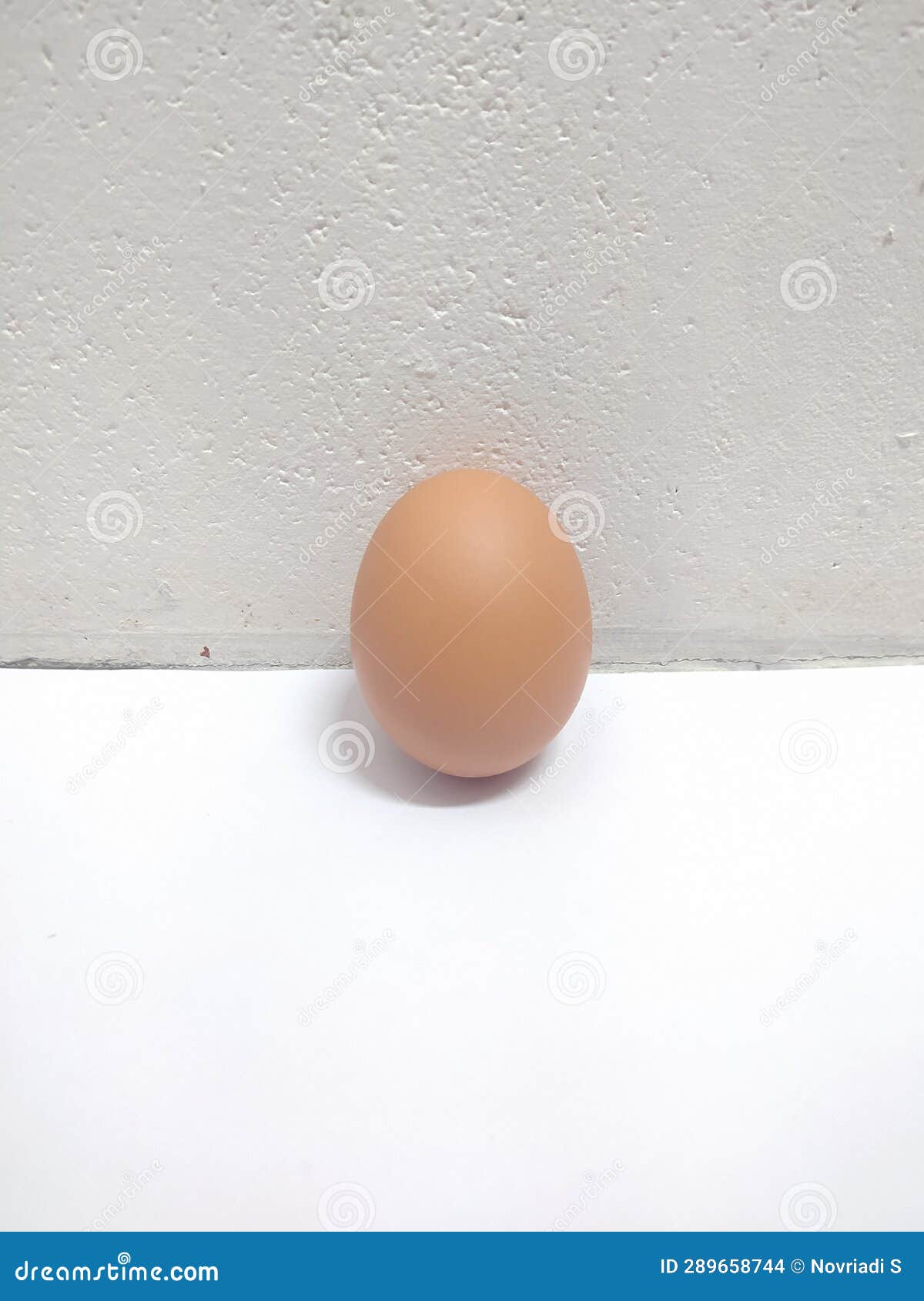 Brown Chicken Eggs on a White Background in a Standing Position Stock ...