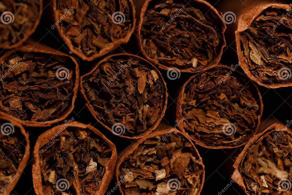 Brown Cigarettes in a Pack Close-up. Horizontal Frame Stock Image ...