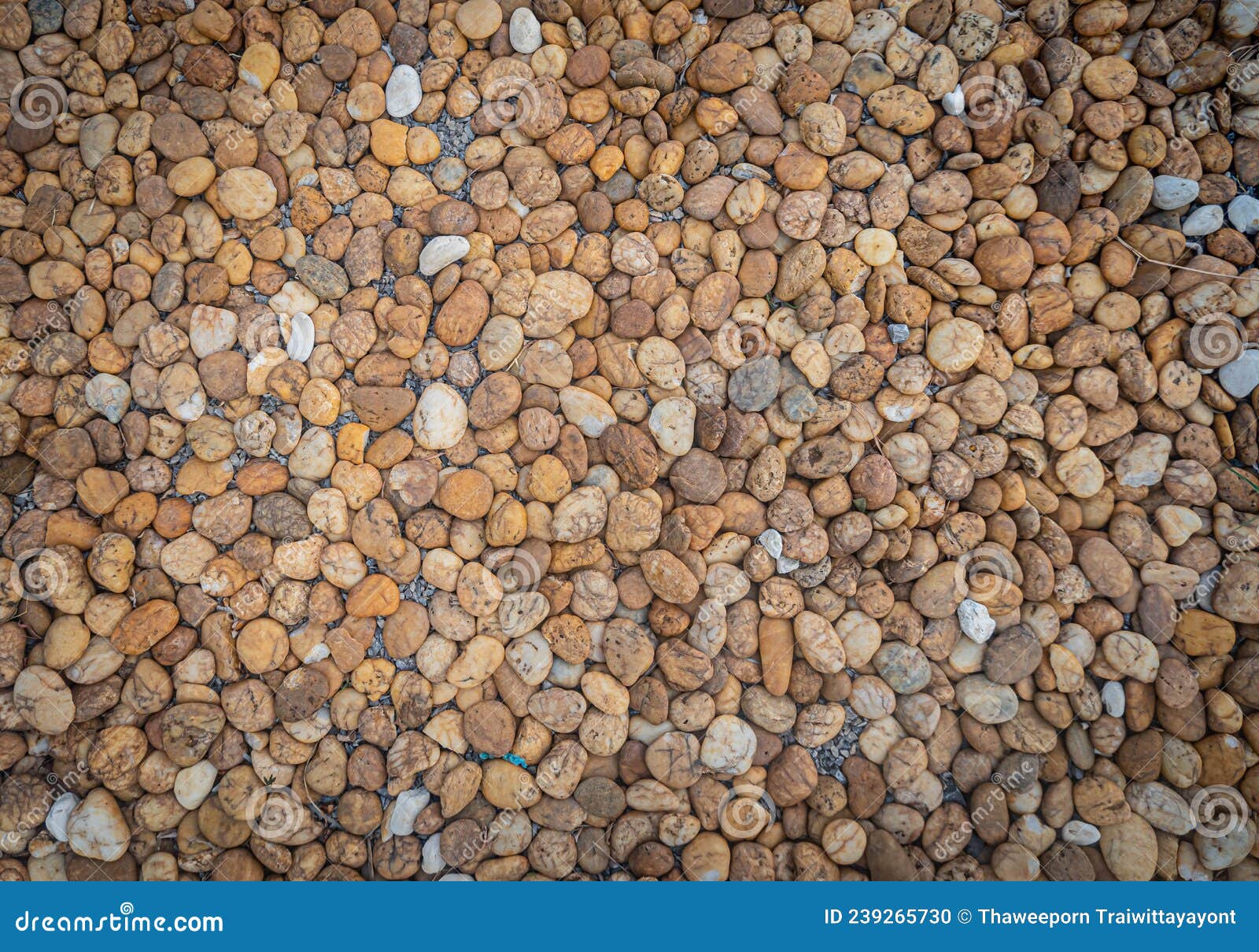 Brown Circular Stone in the Garden for Texture and Background Stock ...