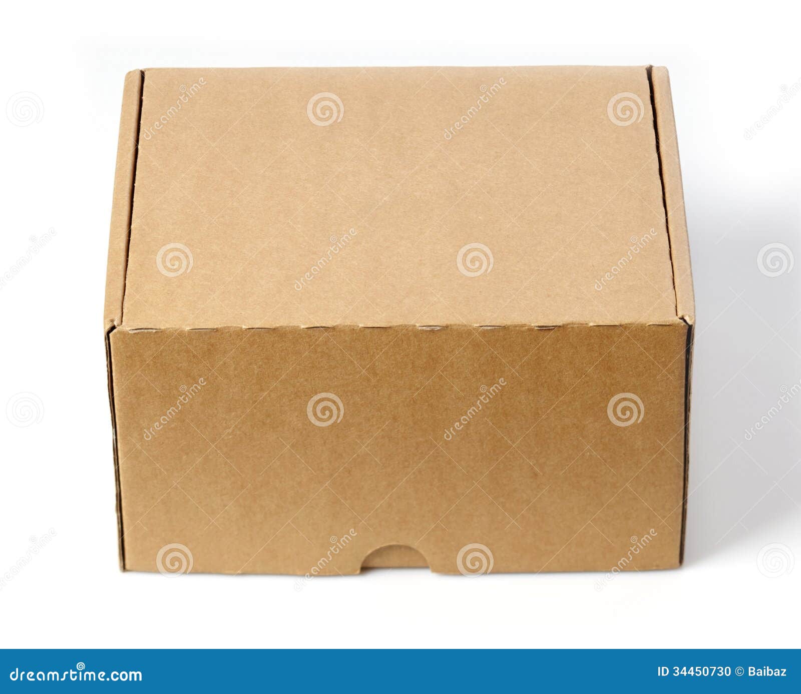 Brown Closed Cones Of Endemic And Rare Coniferous Tree Picea Omorika ...