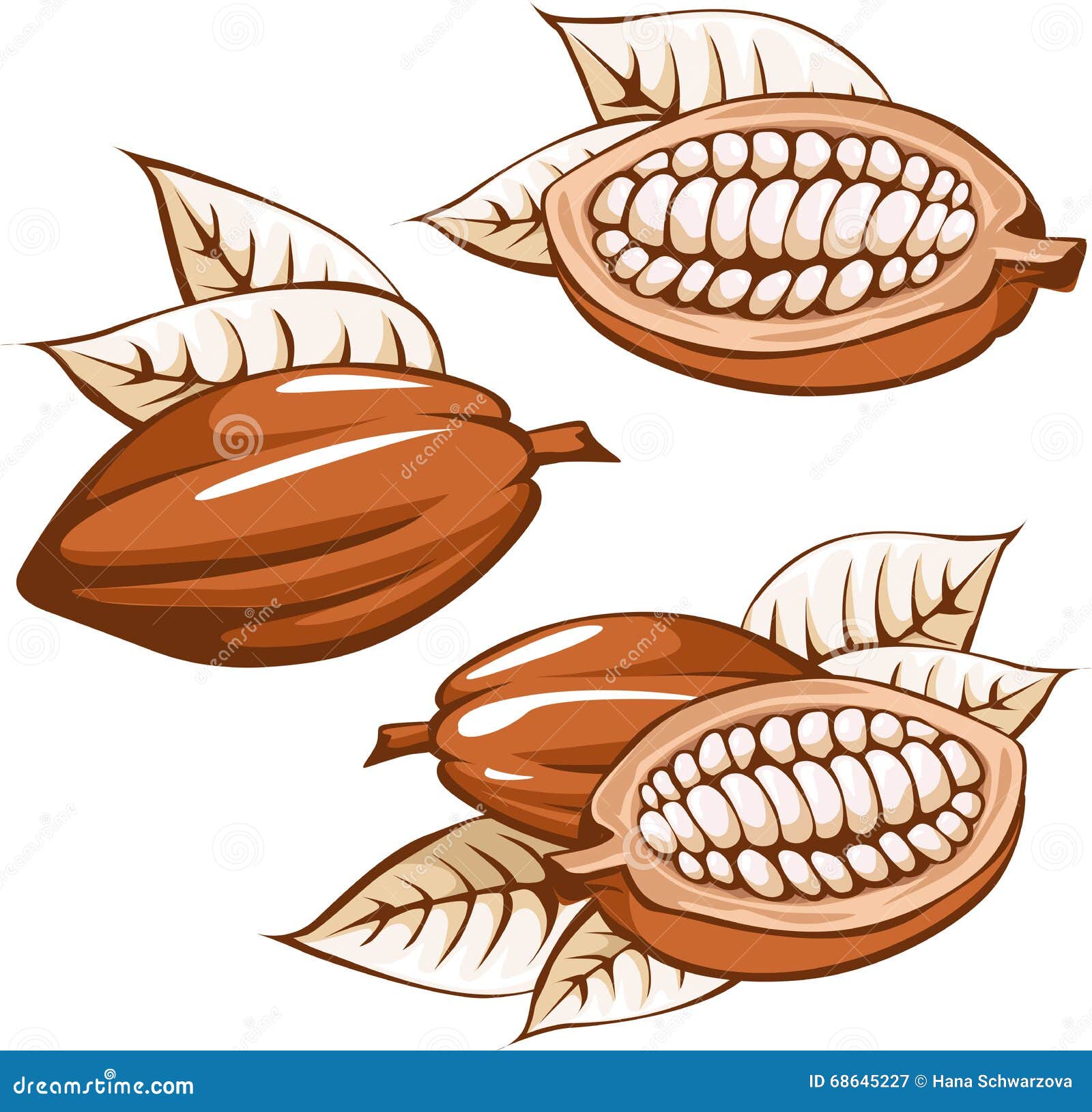 Cocoa Bean Vector Stock Illustrations – 9,107 Cocoa Bean Vector Stock ...