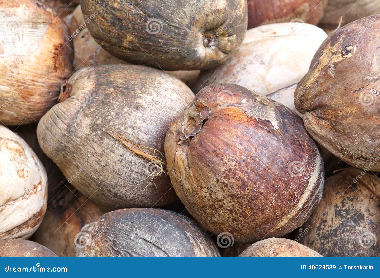 Brown Coconut stock image. Image of color, life, milk - 40628539