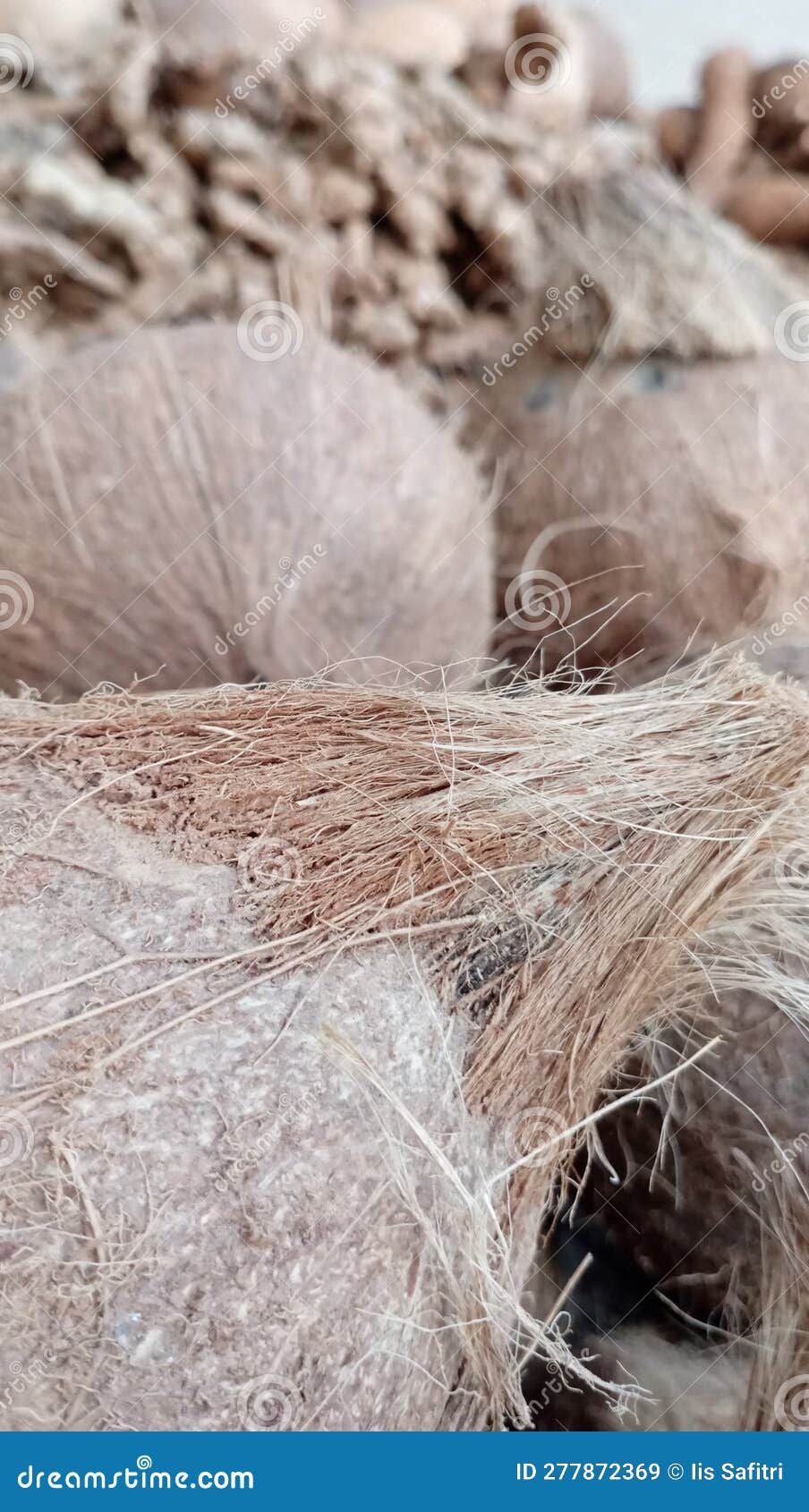 Brown Coconut Fiber Texture Stock Image - Image of flower, texture ...