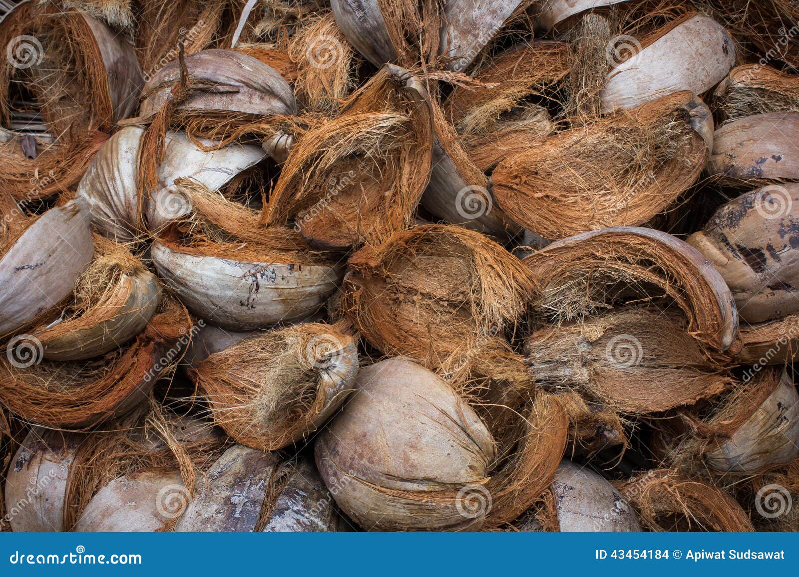 Brown Coconut Husks stock photo. Image of material, texture - 43454184