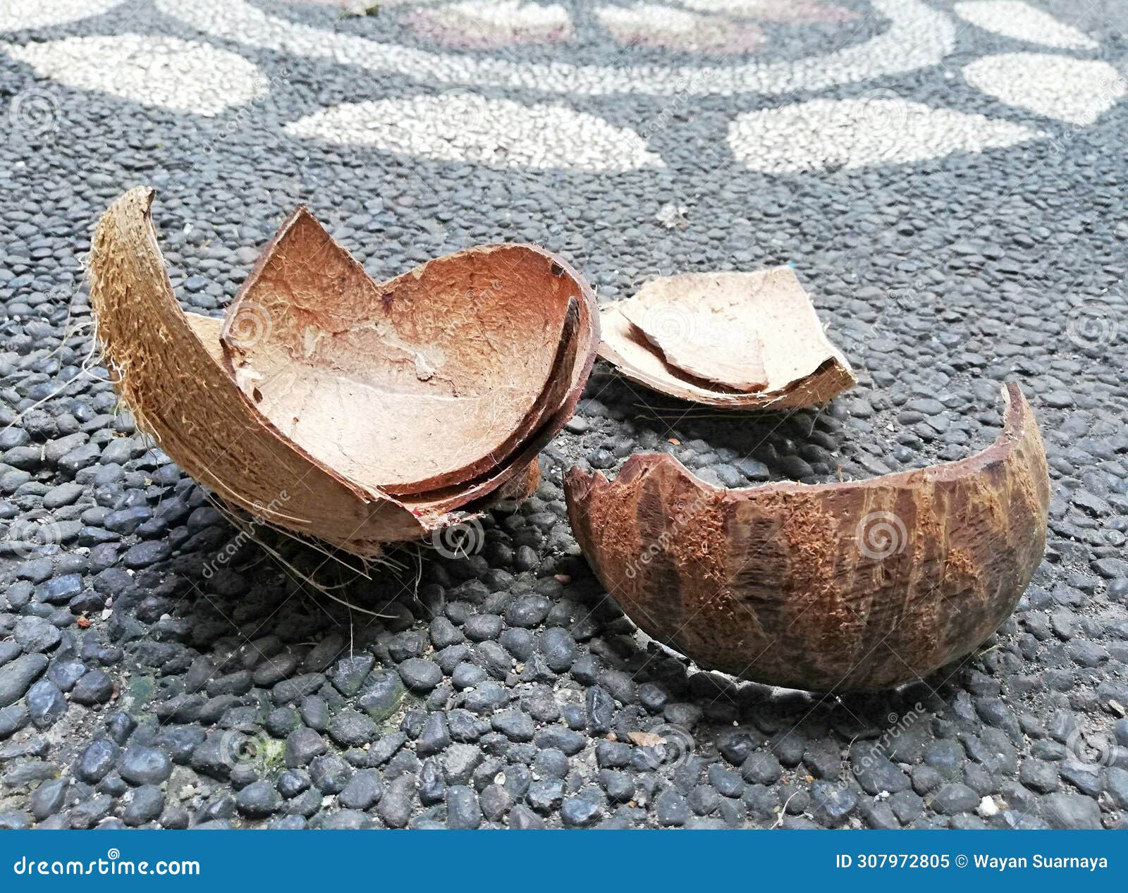 Brown Coconut Shell,placed on Stone Floor Stock Image - Image of ...
