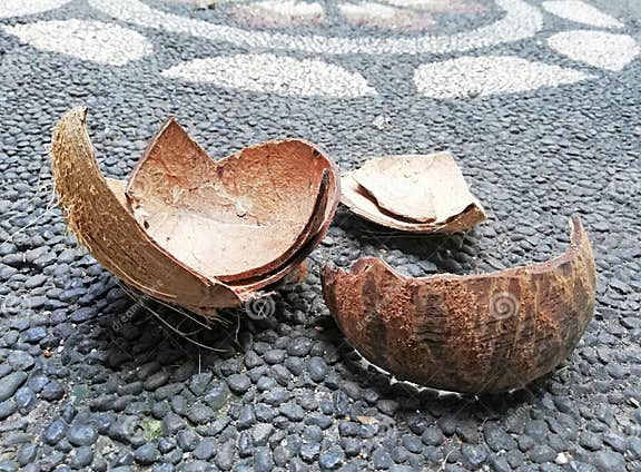Brown Coconut Shell,placed on Stone Floor Stock Image - Image of ...