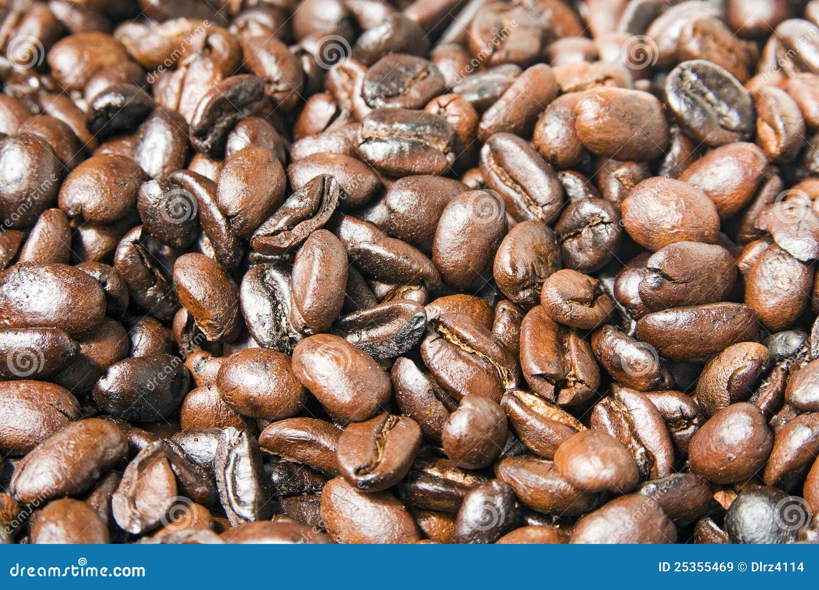 Brown Coffee Grains stock image. Image of drink, crop - 25355469