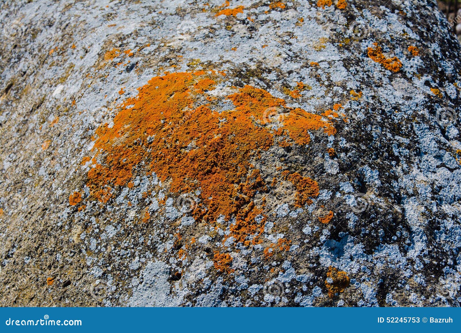 Brown Color Moss on the Rock Stock Image - Image of landslide, texture ...