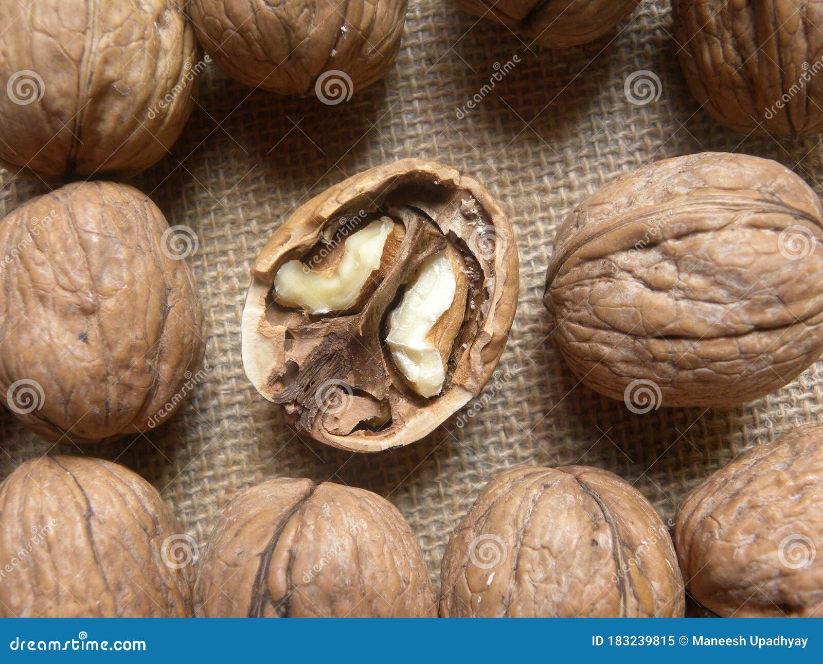 Raw Walnut kernel in shell stock image. Image of nature - 183239815