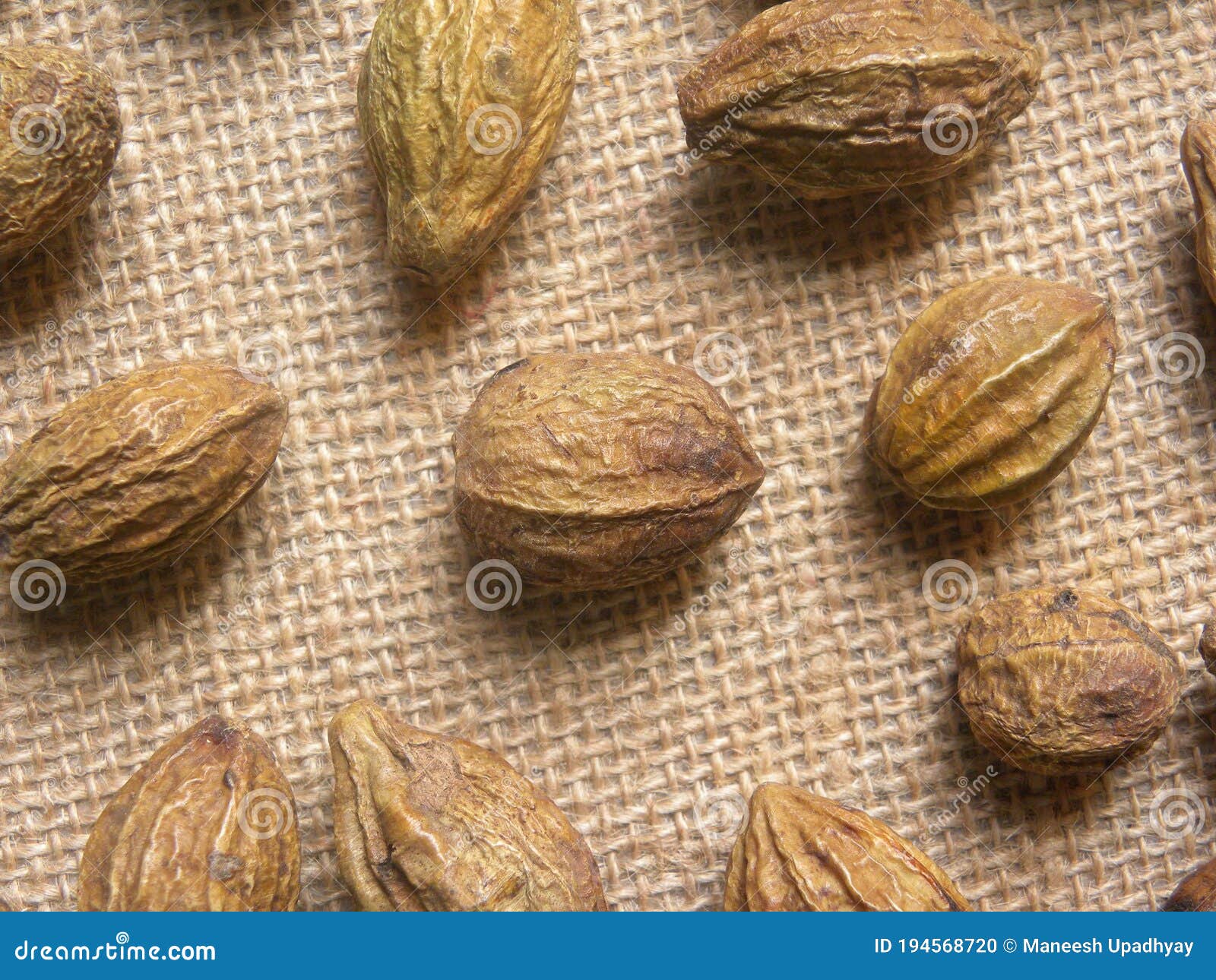 Harad stock photo. Image of healing, alternative, fruits - 194568720