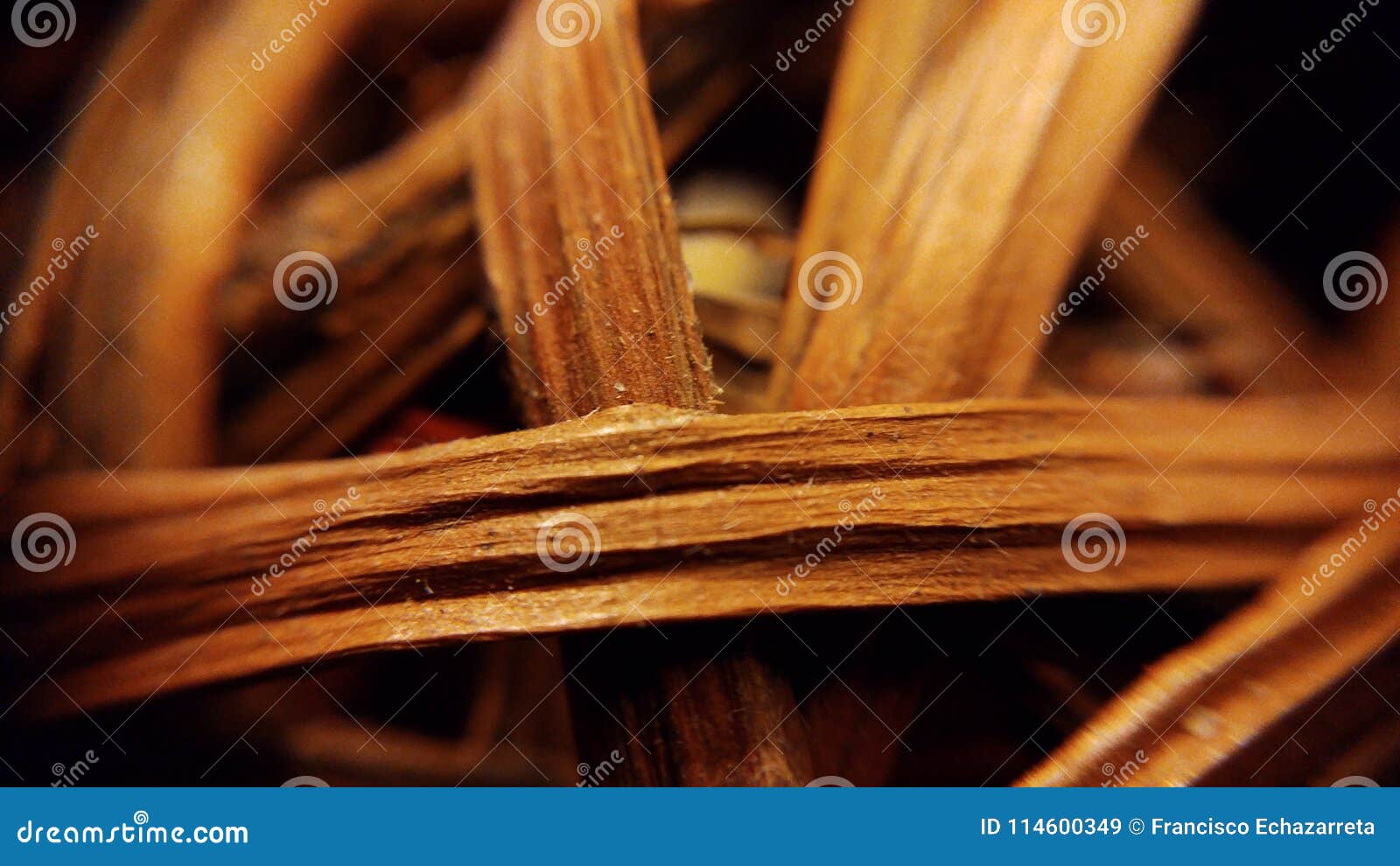 Brown tree stock image. Image of brown, wood, color - 114600349