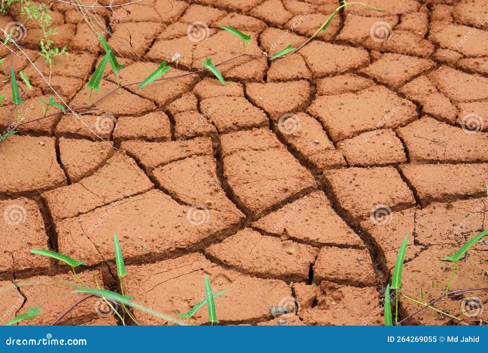 Cracked Clay for Background Use Stock Image - Image of background ...