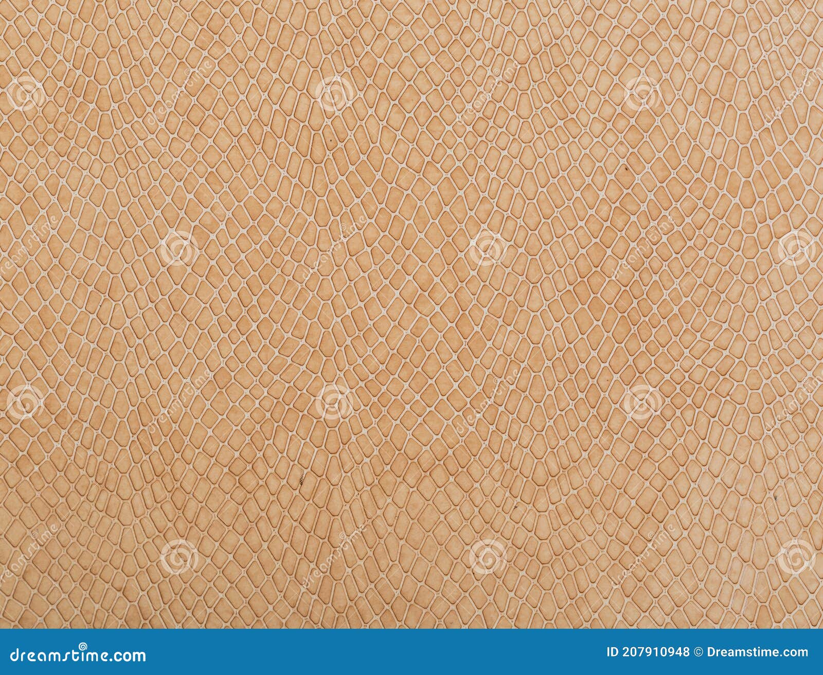 Colorful Snake Skin Texture. Seamless Pattern Stock Photo ...