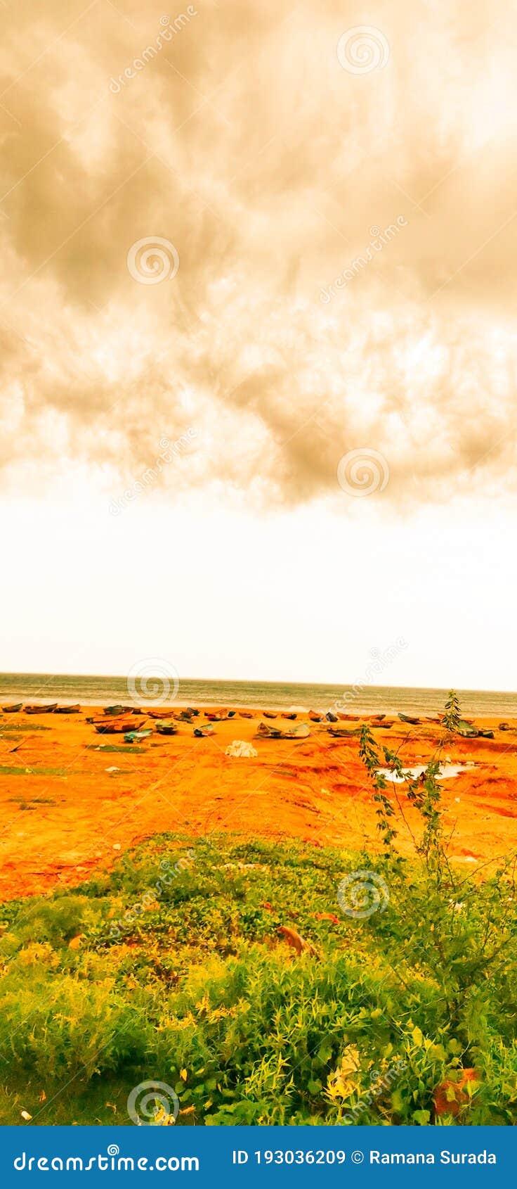 A Brown Colour Sea Shore with Different Look Stock Image - Image of ...
