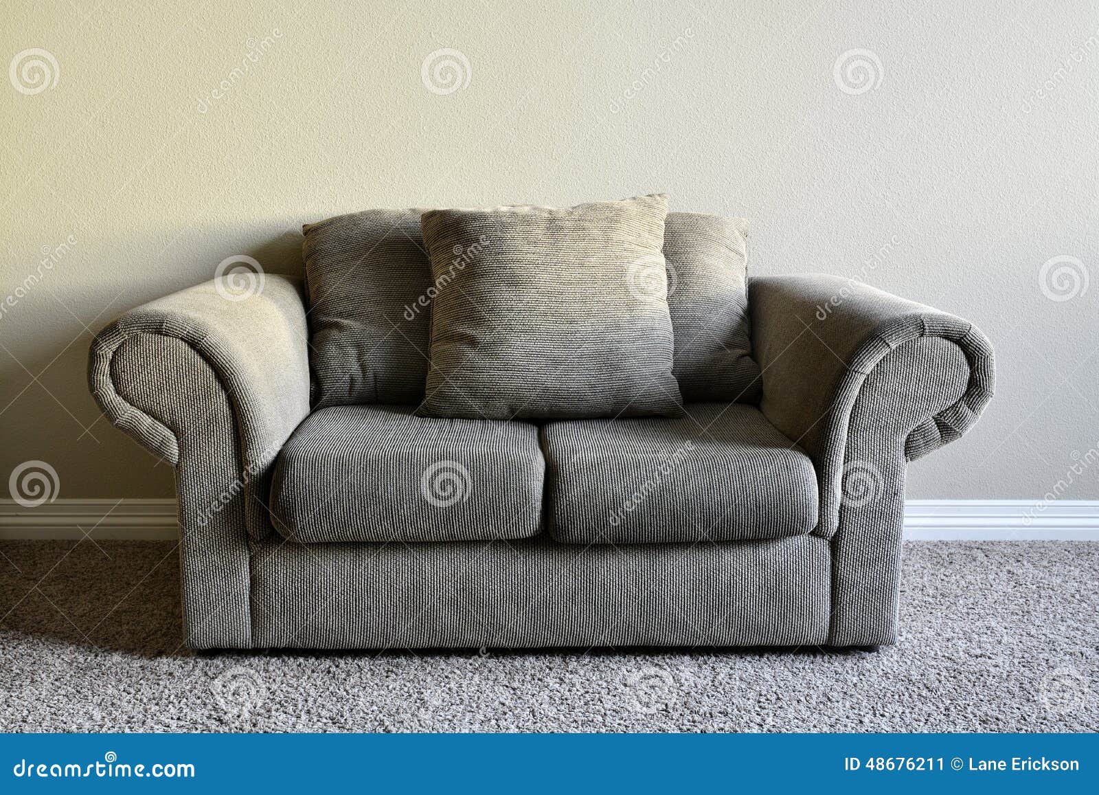 Brown Couch Inside Home stock image. Image of decor, comfort - 48676211