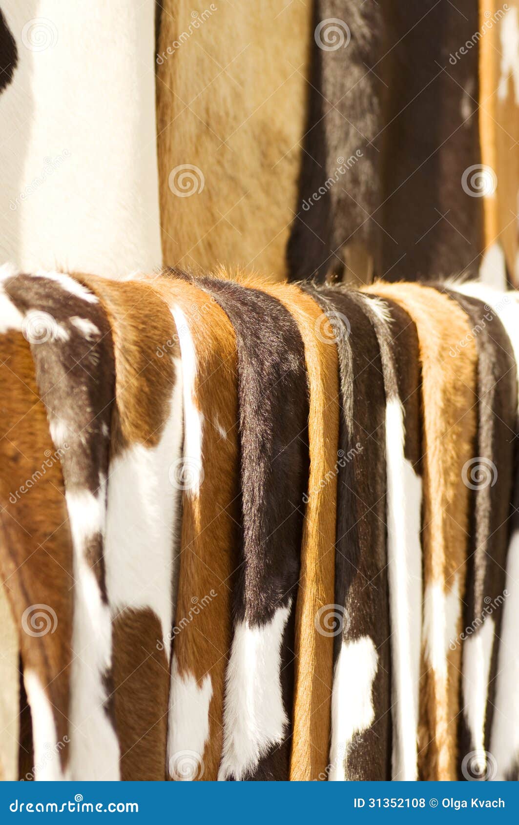 Brown Cow Fur Background Stock Photography | CartoonDealer.com #31352108
