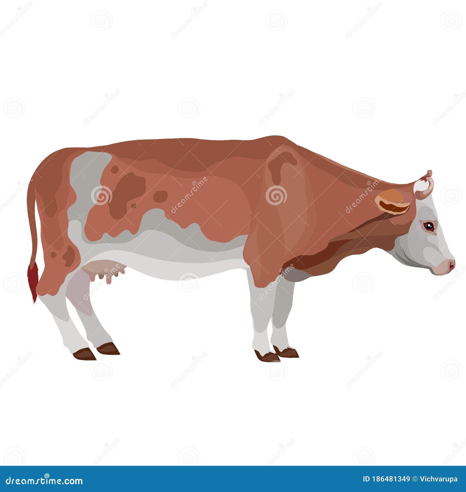 Brown Cow in Natural Style, Isolated Object on a White Background ...