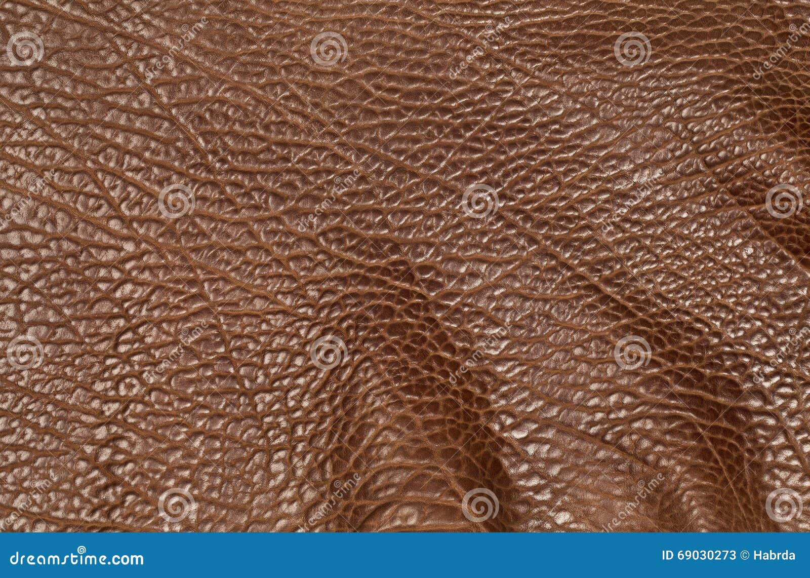 Brown Cow Structure Leather Stock Image - Image of macro, surface: 69030273