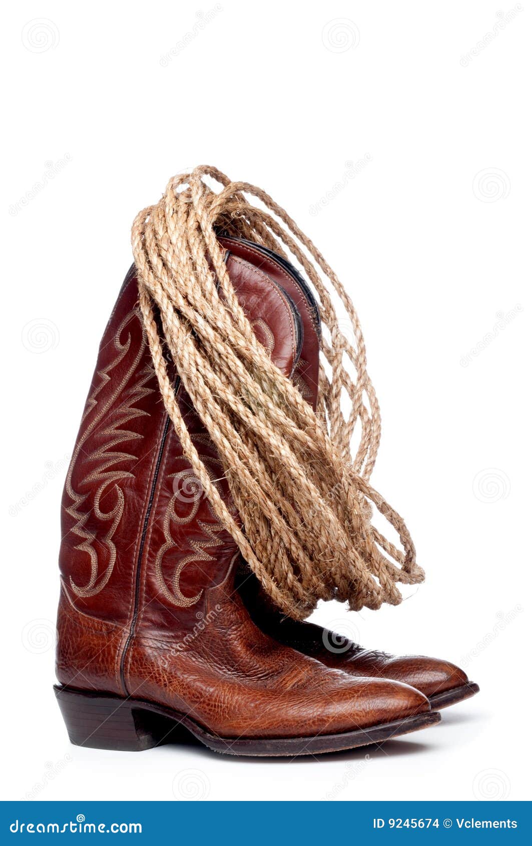 Brown Cowboy Royalty-Free Stock Photography | CartoonDealer.com #29108771