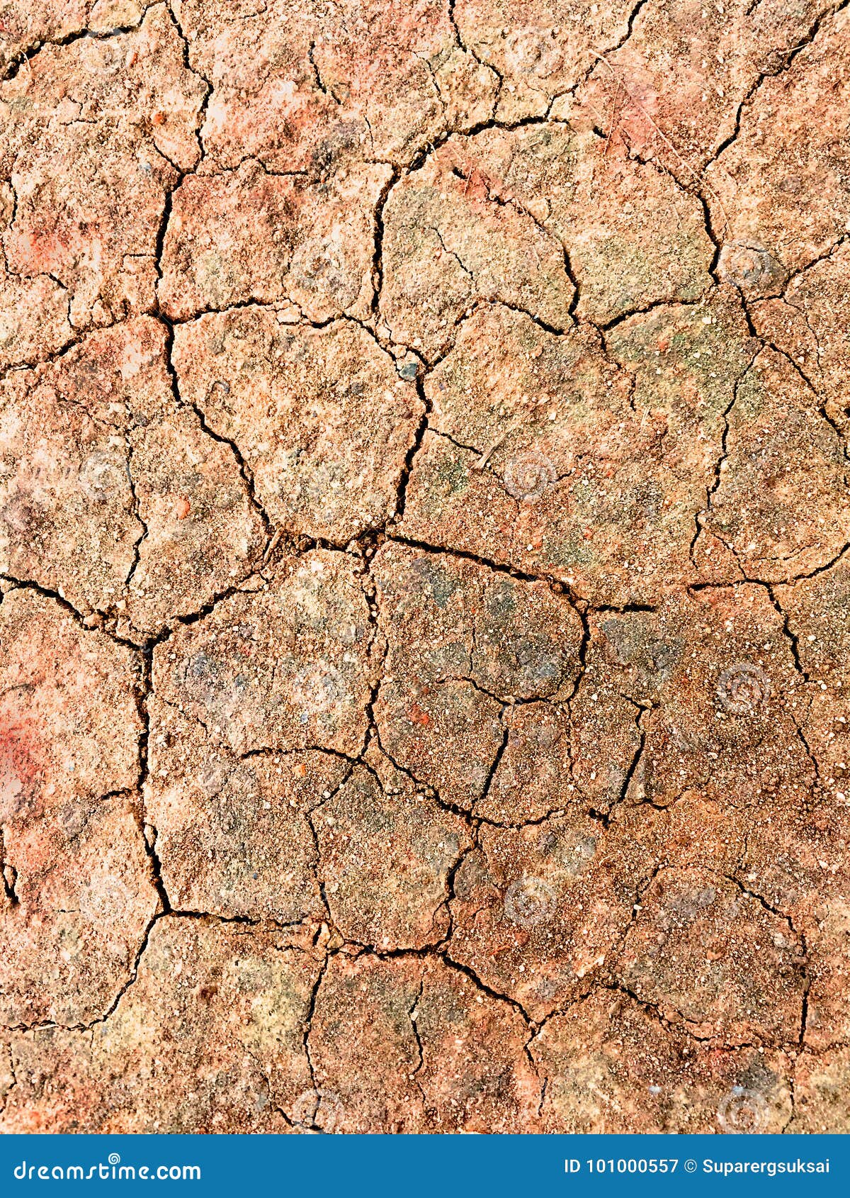 Brown Cracked Dirt stock image. Image of closeup, surface - 101000557
