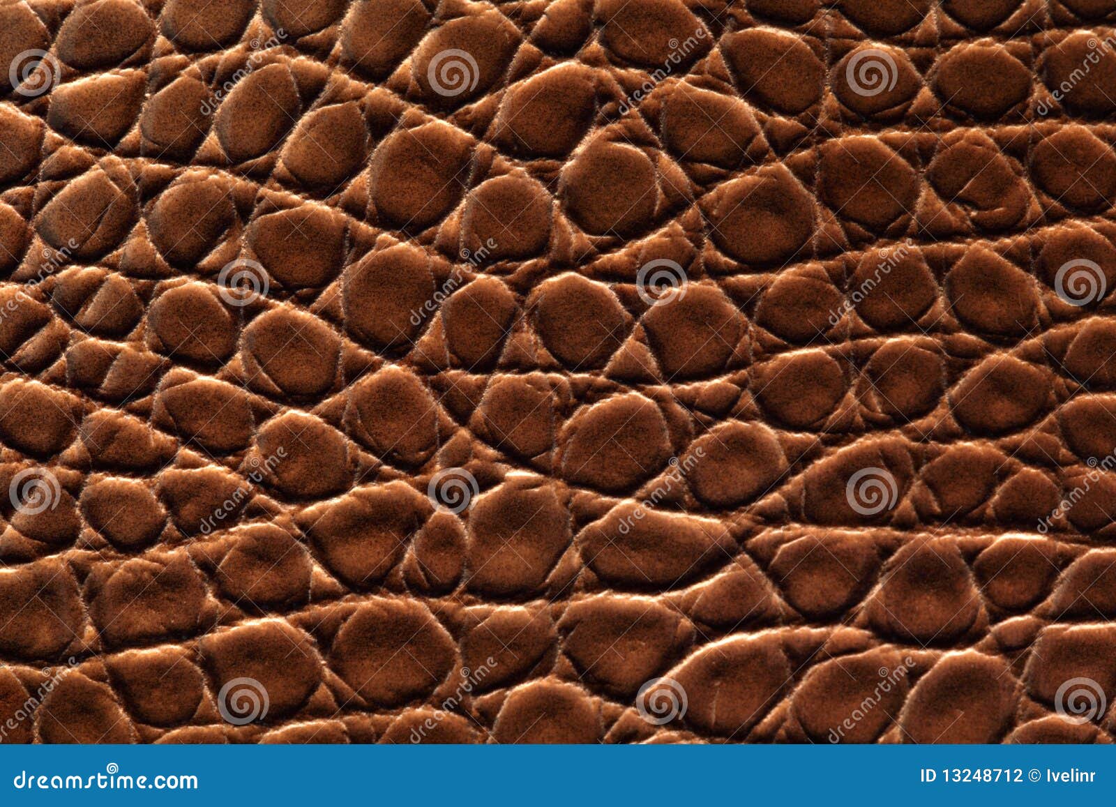 Brown Crocodile Leather Texture Stock Photography | CartoonDealer.com ...