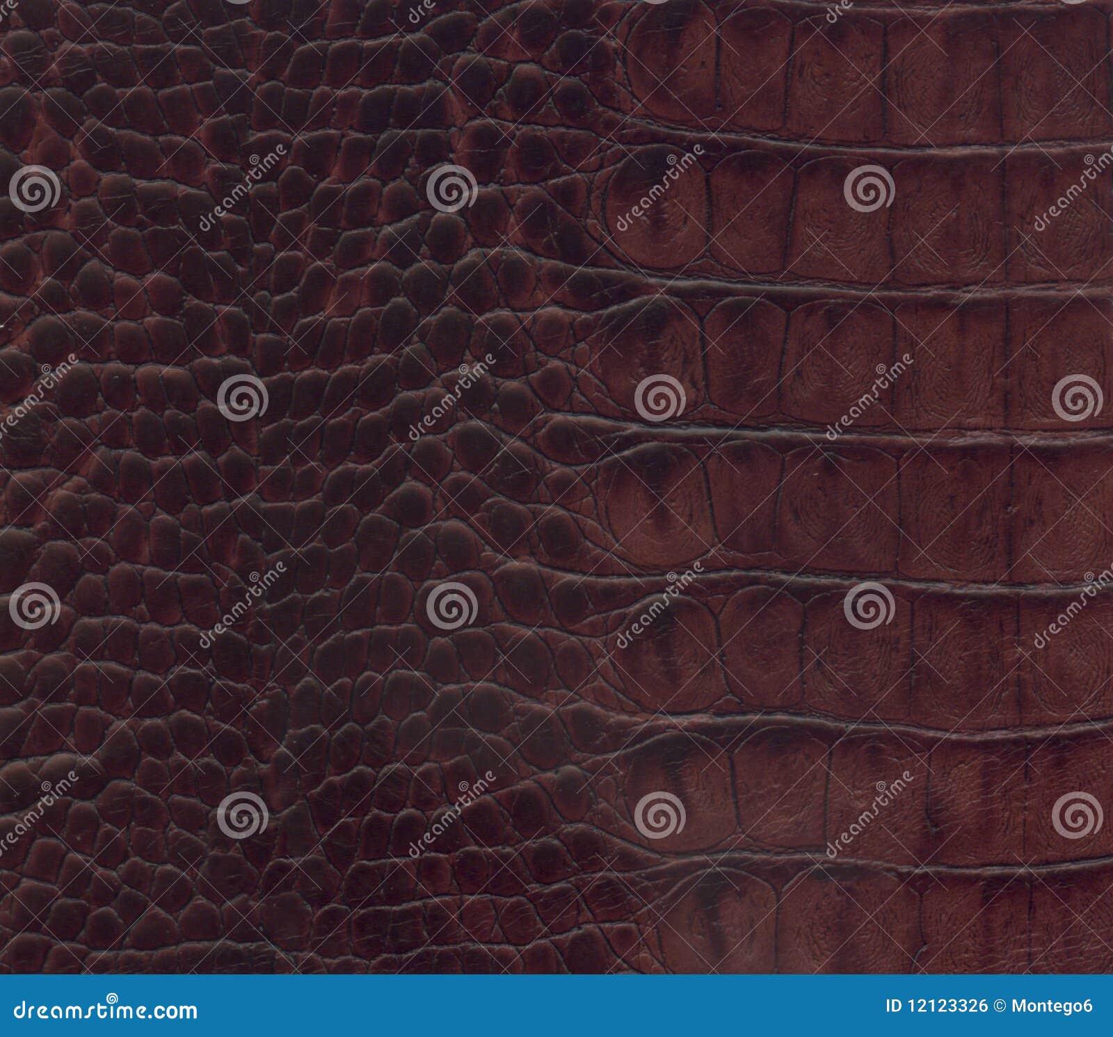 Brown Crocodile Leather Texture Stock Photography | CartoonDealer.com ...