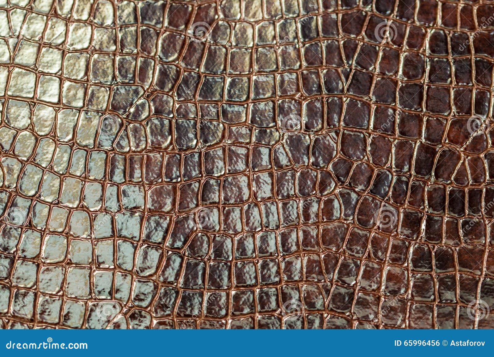 Brown Crocodile Leather Texture Stock Photography | CartoonDealer.com ...