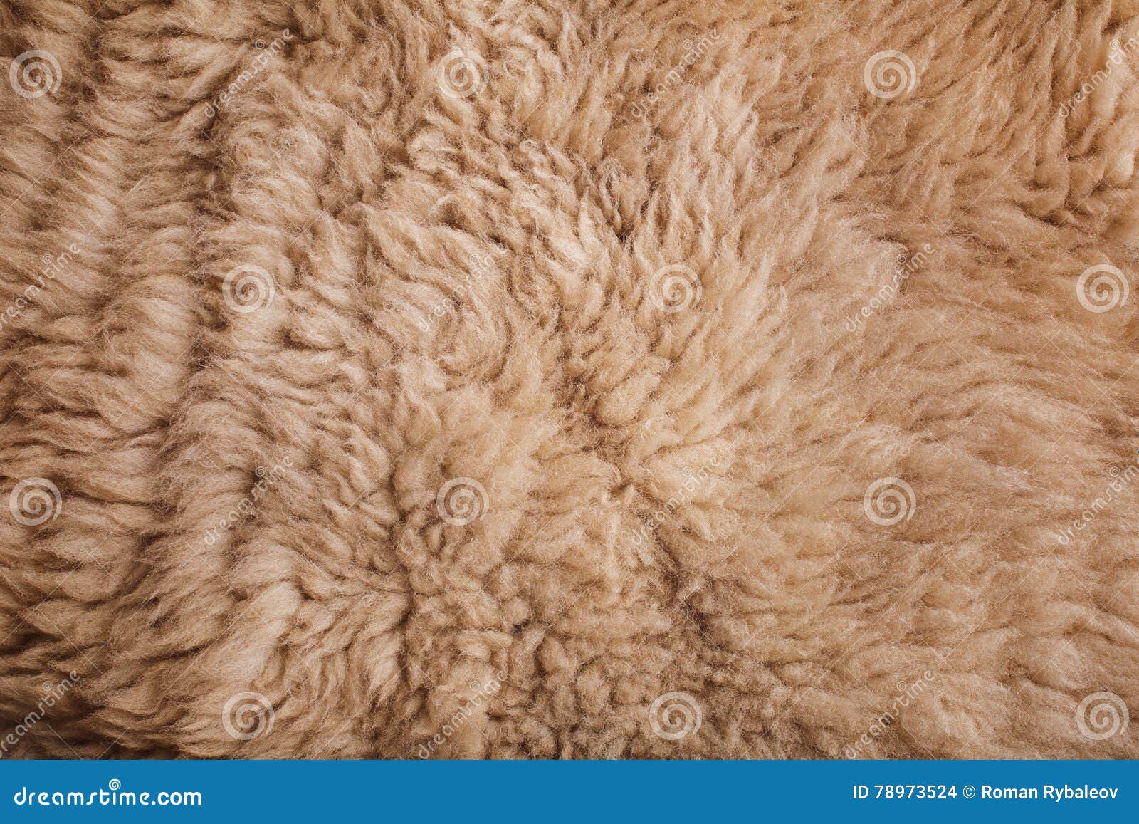 Brown Curled Sheep Fur Texture As Background Stock Photo - Image of ...