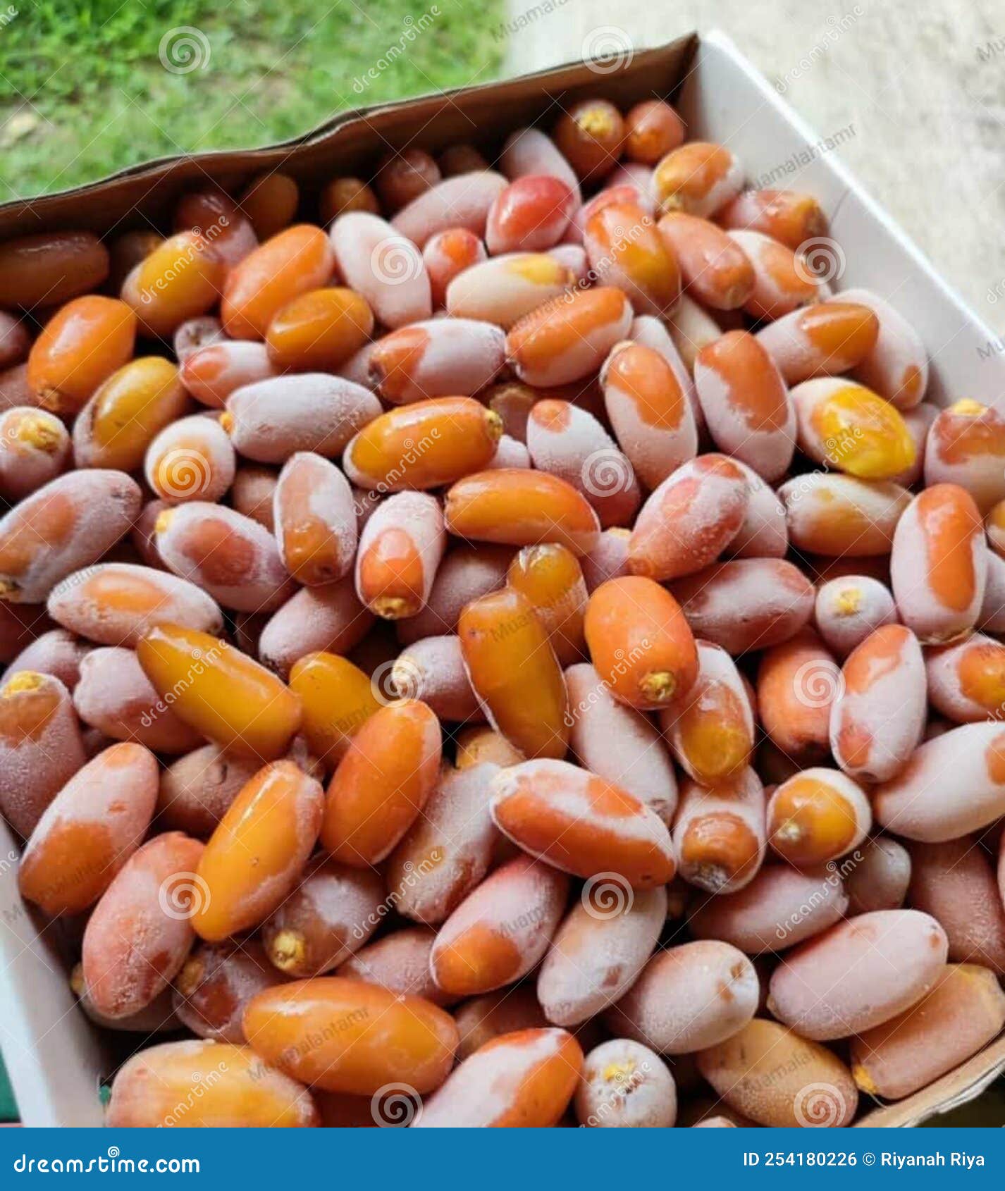 Brown dates are in a box stock photo. Image of brown - 254180226