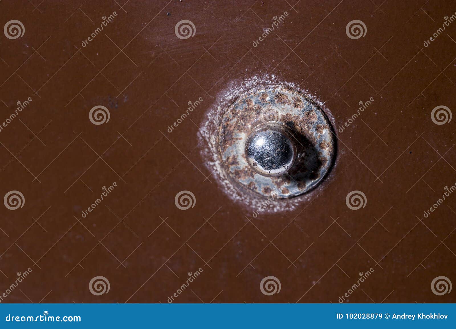 Brown Dense Skin and an Old Rusty Button on the Side. Stock Image ...
