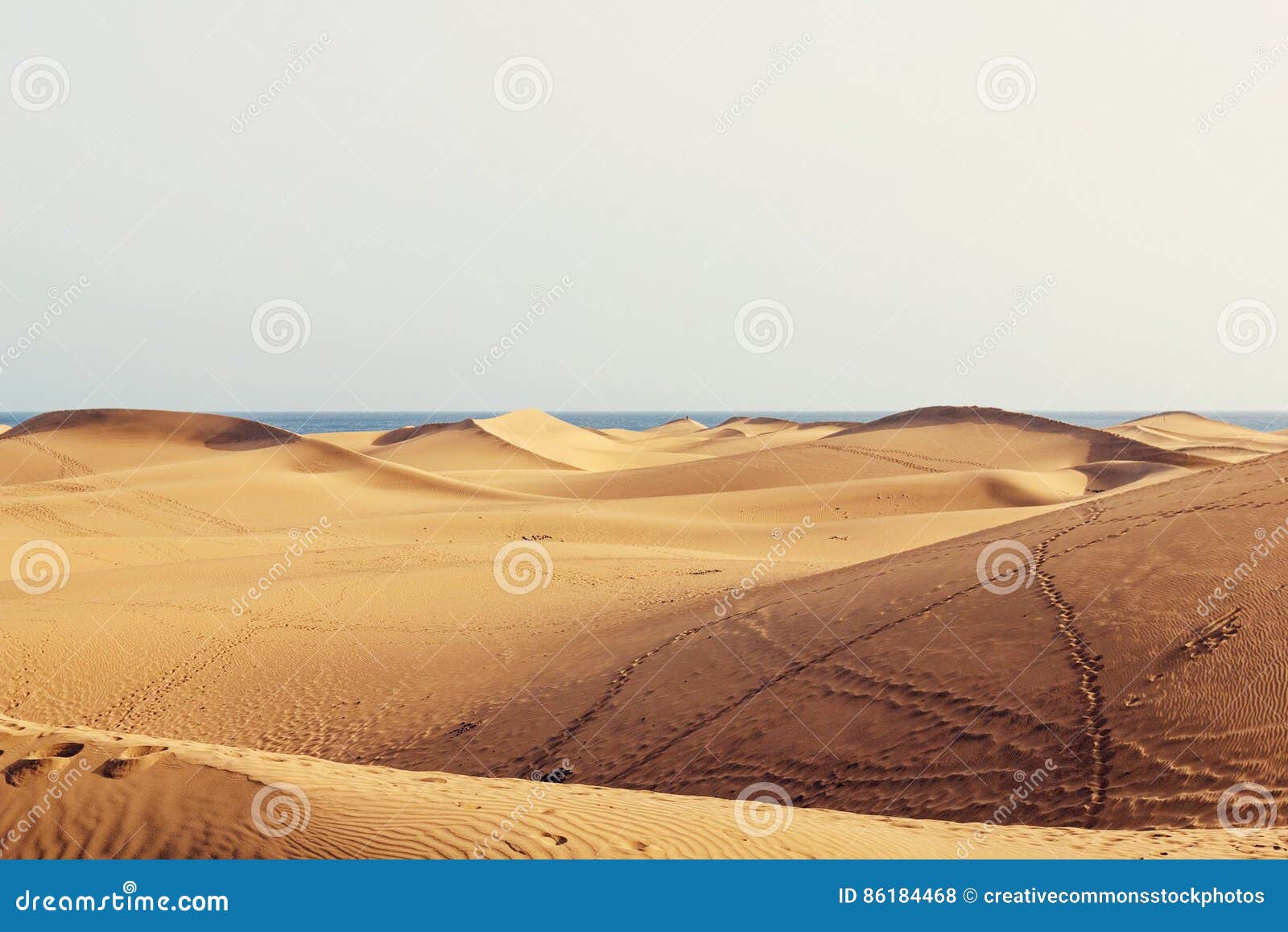 Brown Desert Picture. Image: 86184468