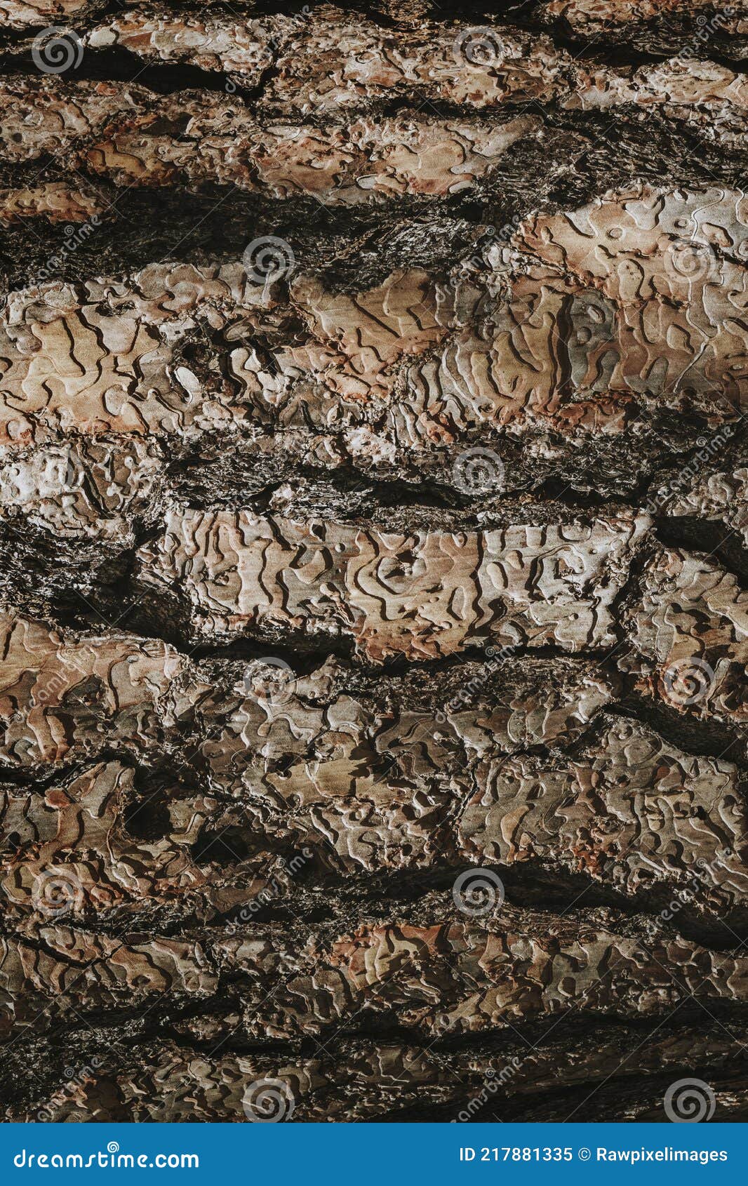 Detailed Wooden Louver Pattern Royalty-Free Stock Photo | CartoonDealer ...