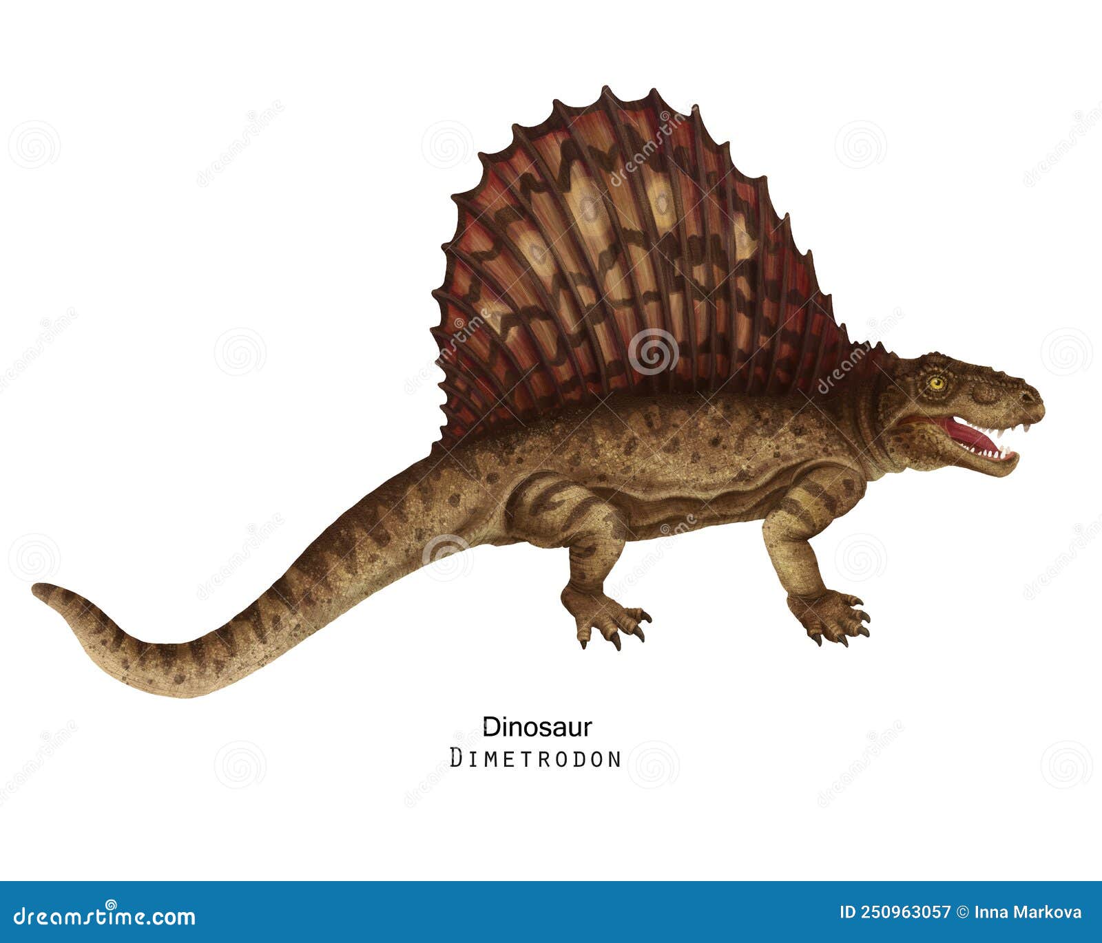 Brown Dimetrodon Illustration. Stock Illustration - Illustration of ...