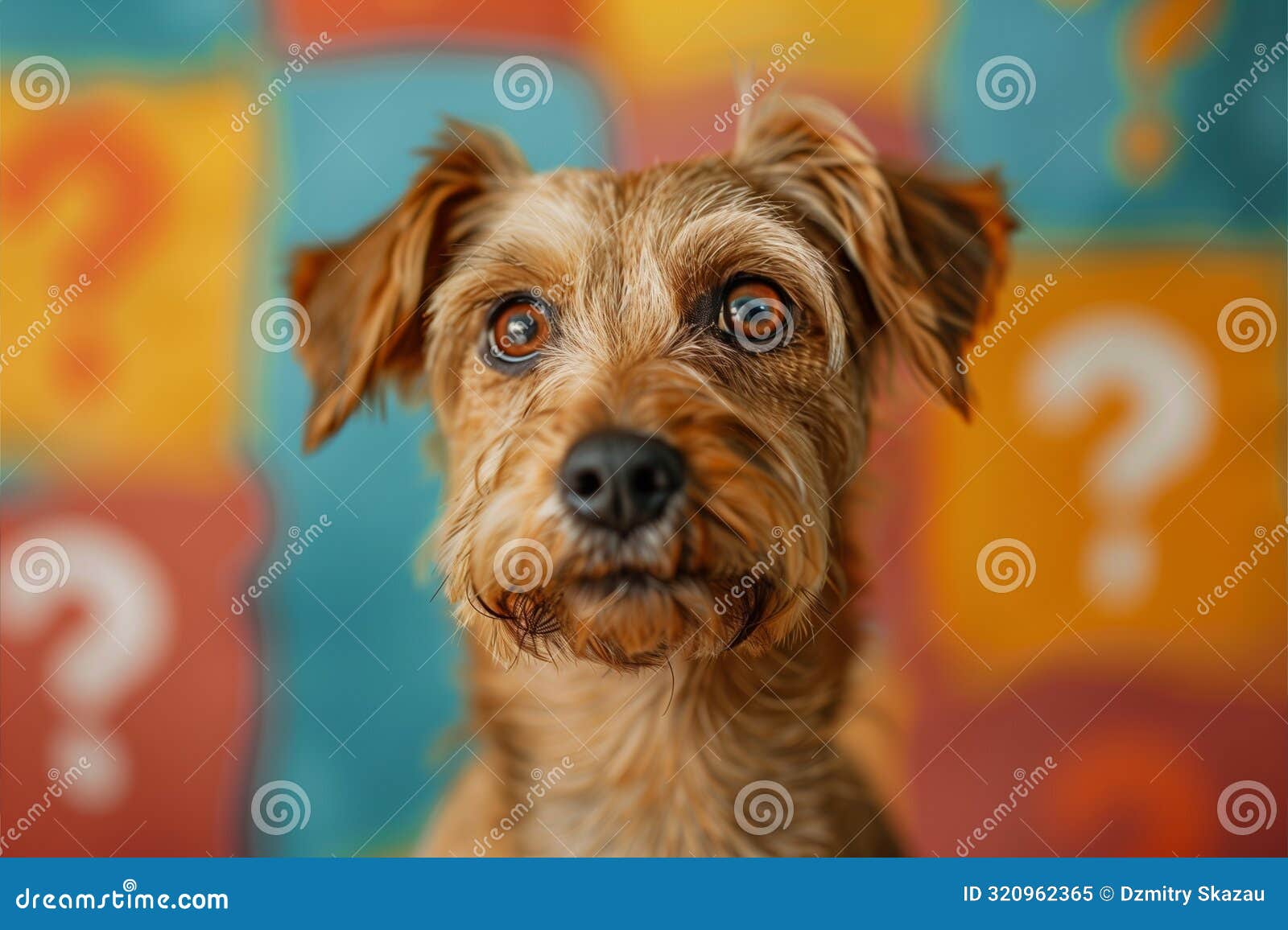 Brown Dog with Curious Expression Against Question Mark Background ...