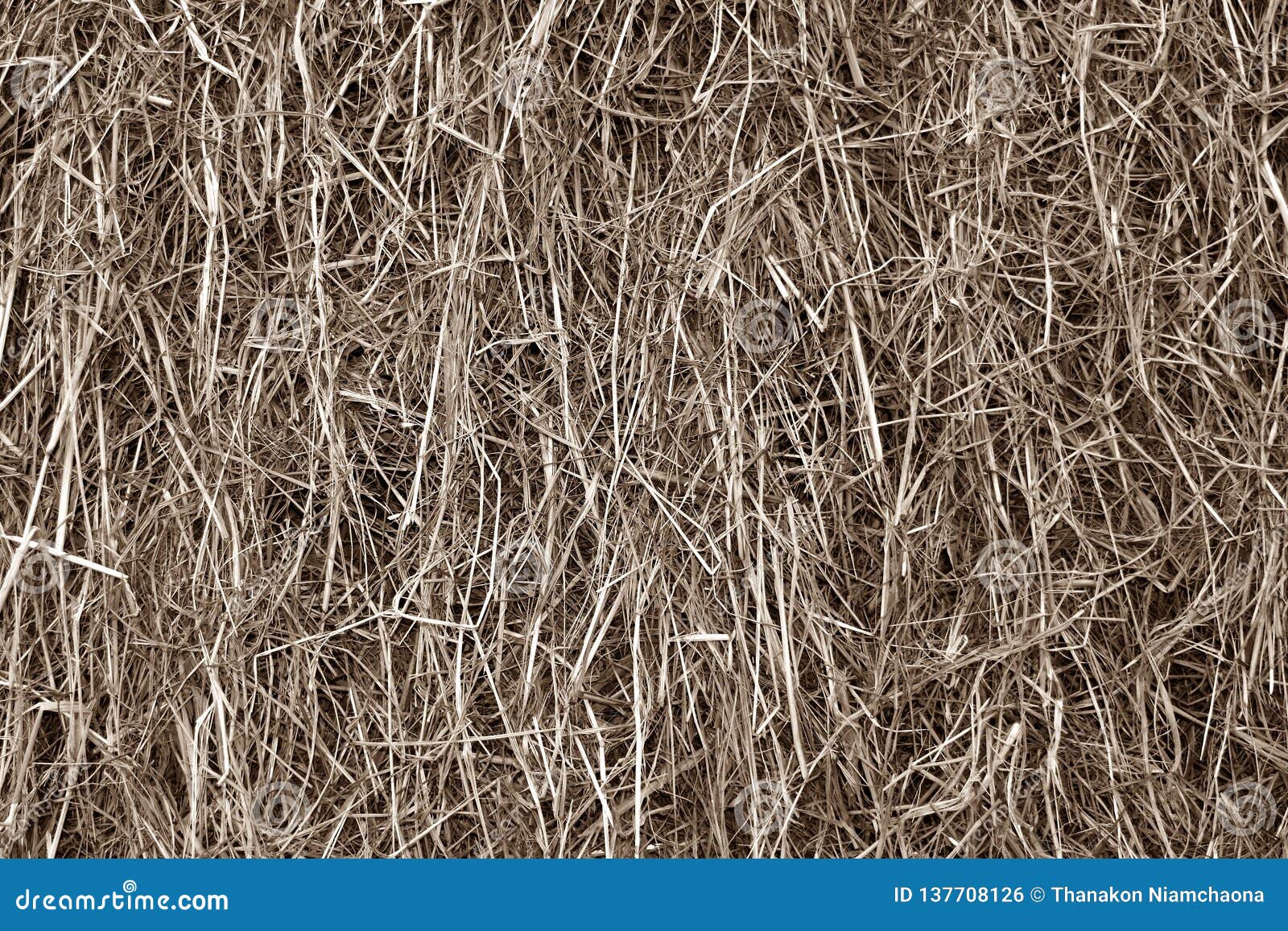 Detail brown dry straw stock photo. Image of stack, crop - 137708126