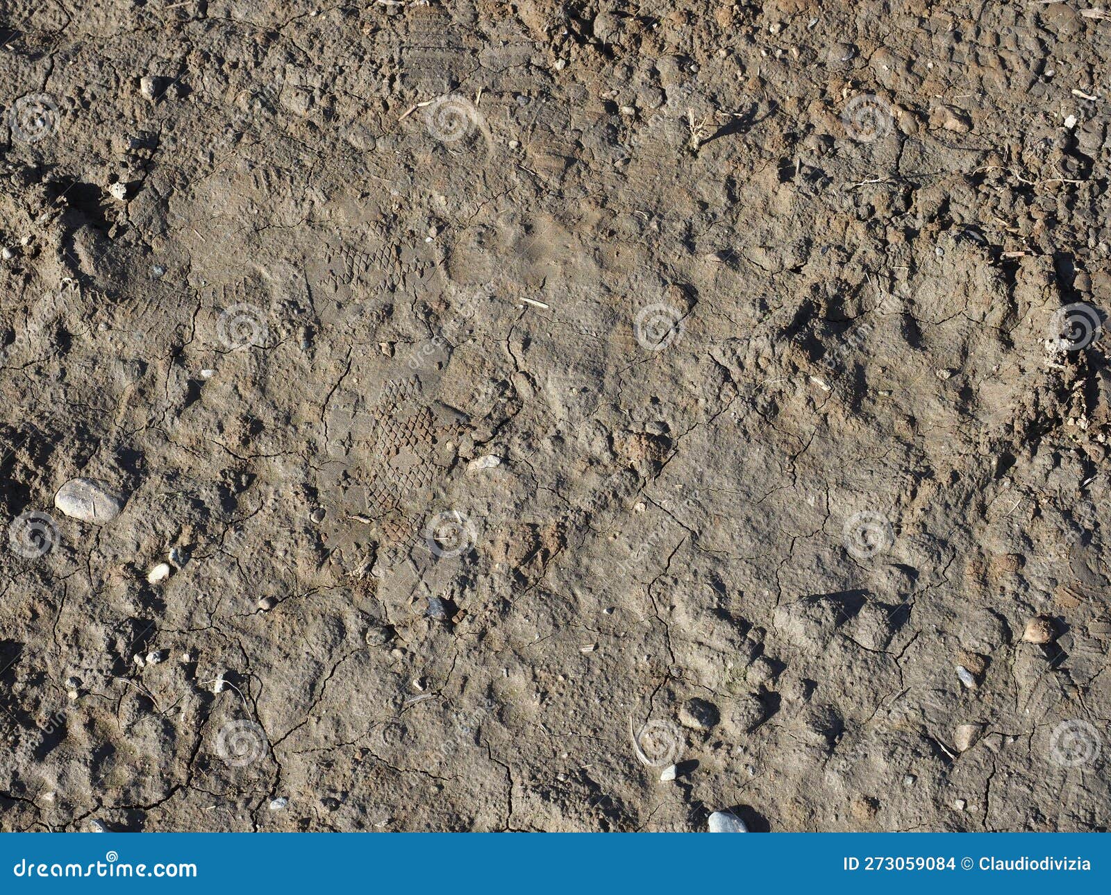 Brown Earth Texture Background Stock Photo - Image of field, soil ...