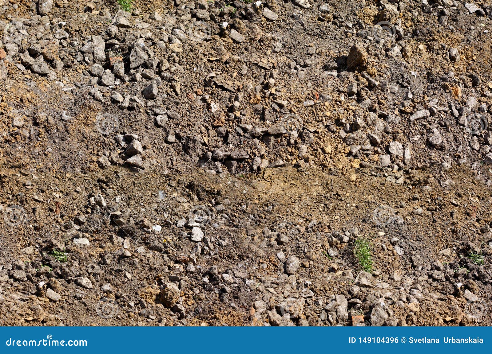 Earth Texture, Top View, Grass Grows Stock Photo - Image of gardening ...