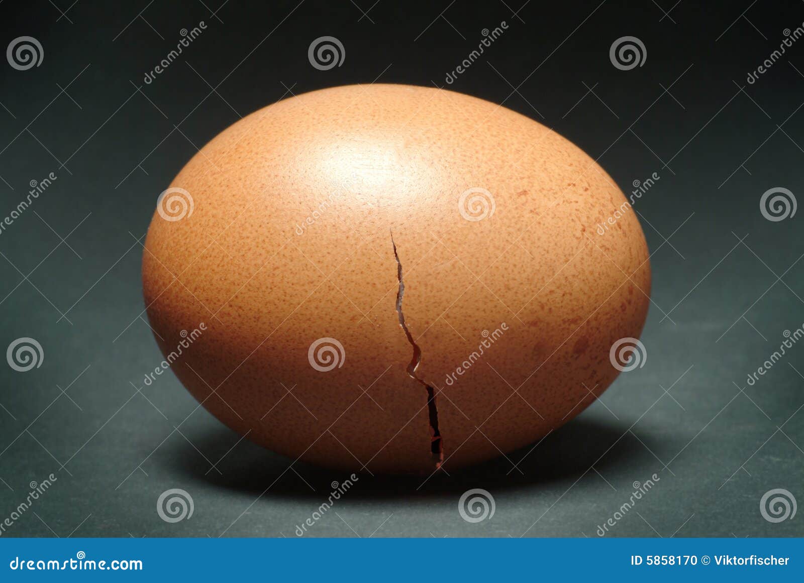 Cracked Egg With Egg Shell, Egg Yolk And Egg White Isolated On White ...