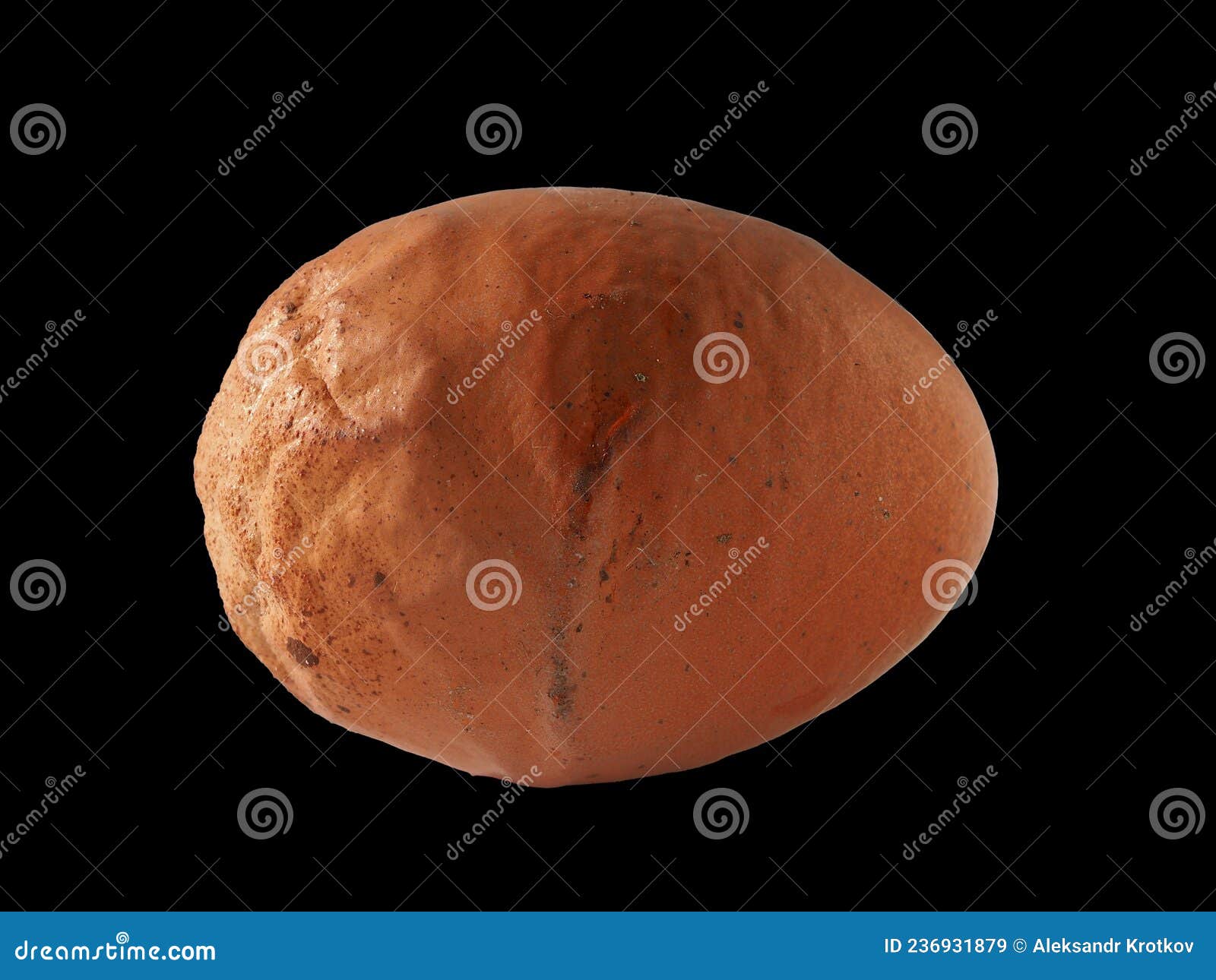 A Brown Egg with a Deformed Shell, Isolated on a Black Background. Ugly ...