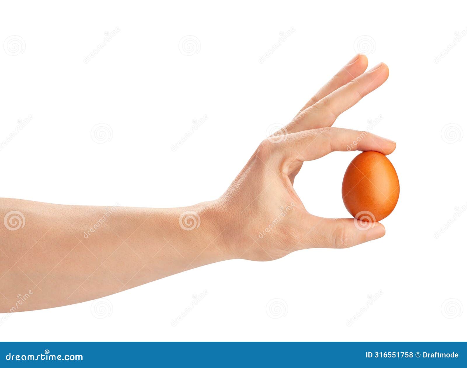 Brown Egg in Hand Path Isolated Stock Photo - Image of side, yellow ...