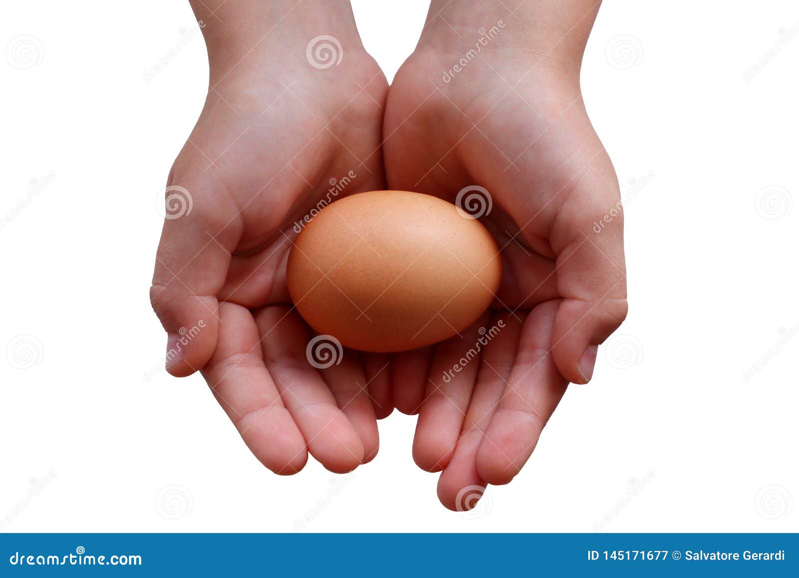 Brown Egg in Hands Isolated Stock Image - Image of closeup, concept ...