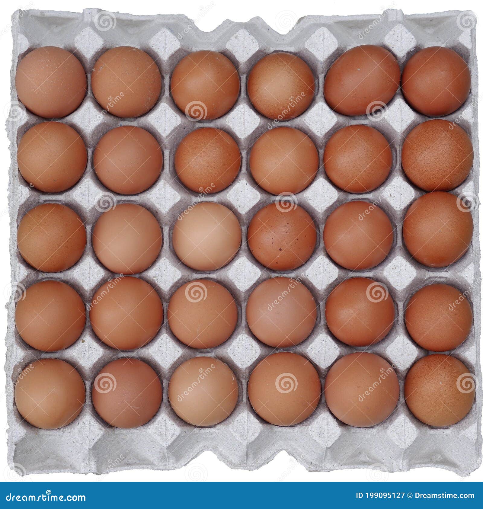 Brown Eggs in Egg Paper Box for Cooking Stock Image - Image of bird ...