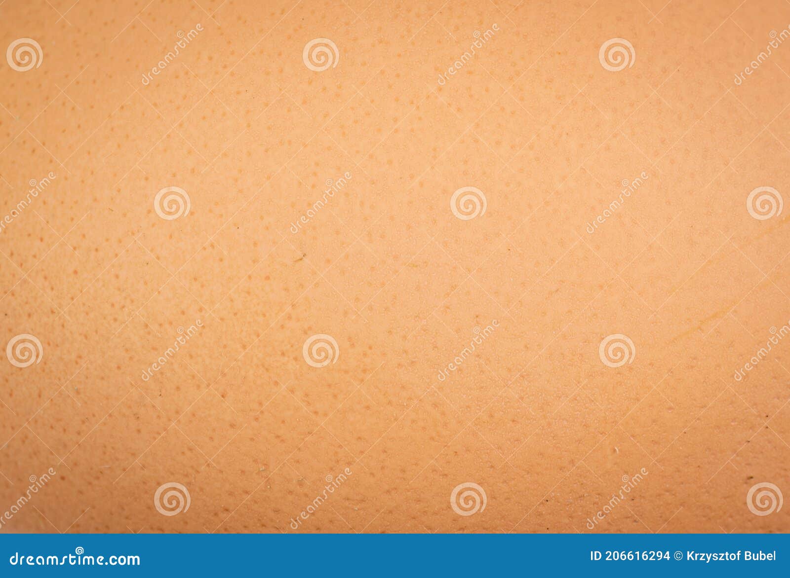 Brown Eggshell with Visible Details. Background or Textura Stock Photo ...