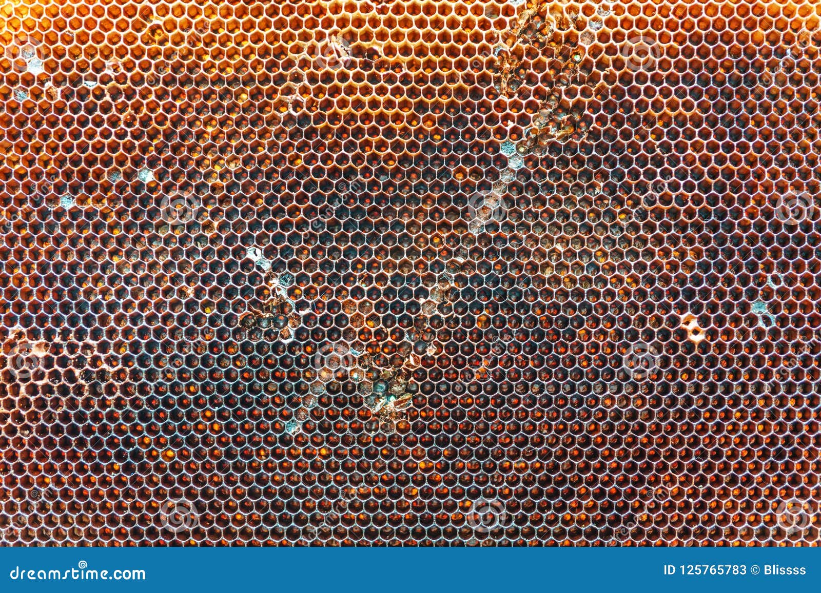 Brown Empty Bee Cells Abstract Natural Texture and Background Stock ...