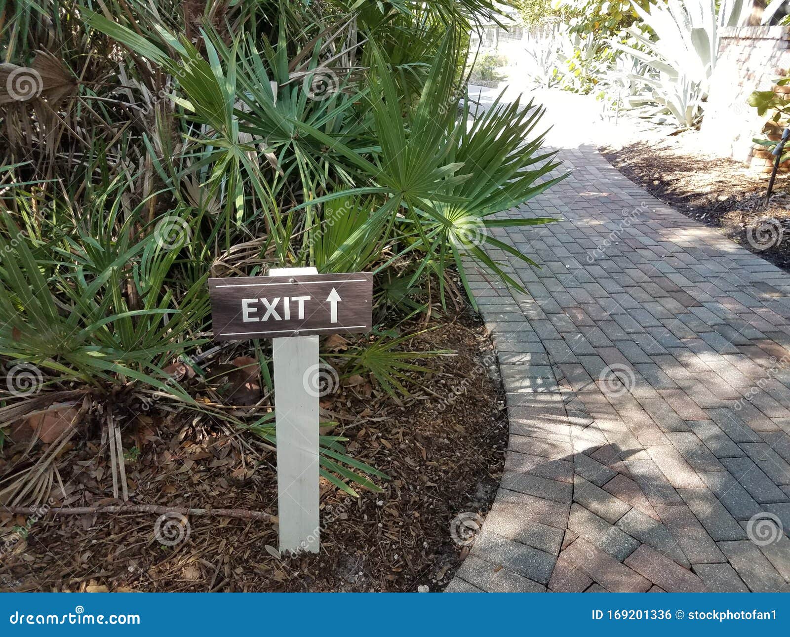 Brown Exit Sign with White Arrow and Trees and Path Stock Photo - Image ...