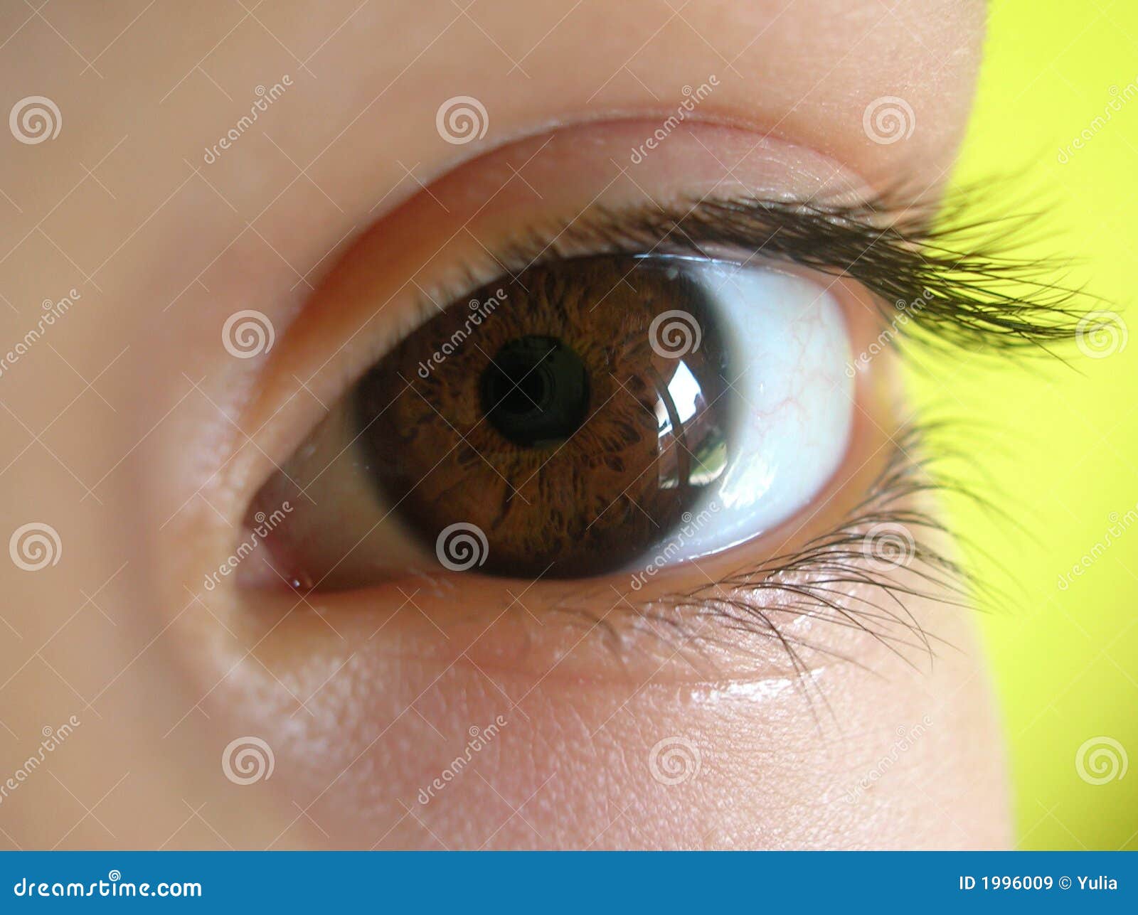 Brown eye stock image. Image of pupil, brown, macro, opened - 1996009