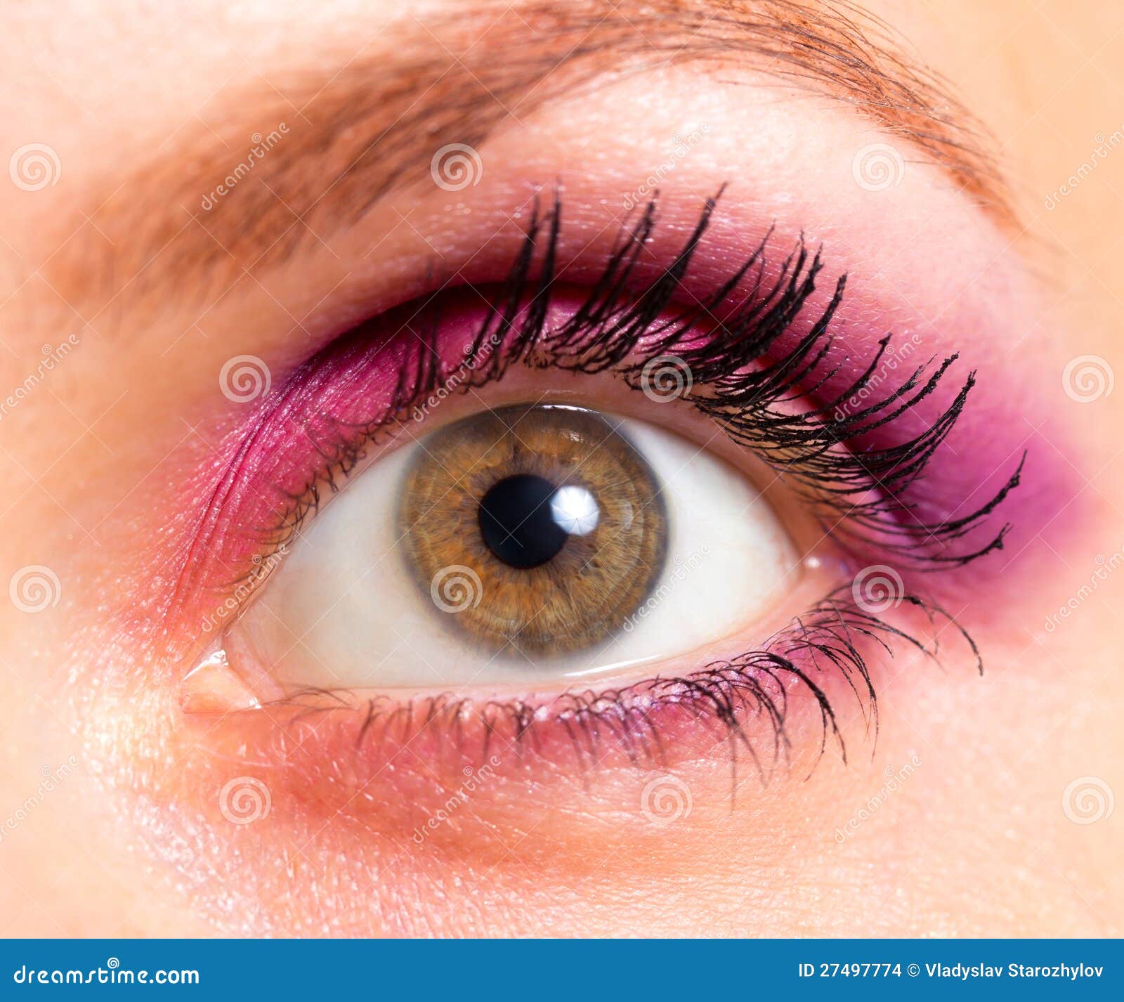 Brown Eye with Bright Pink and Violet Makeup Stock Photo - Image of ...