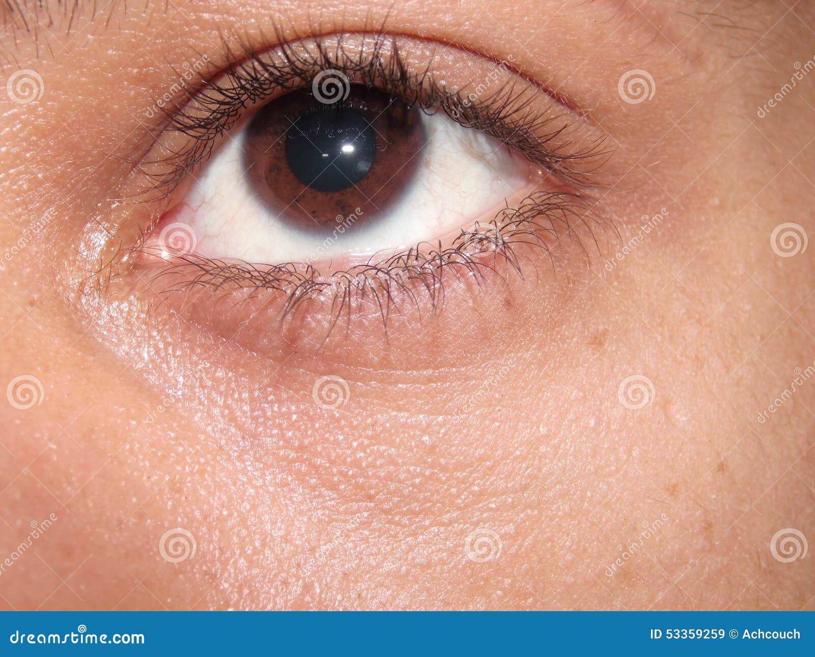 Brown Eye closeup stock image. Image of pupil, human - 53359259
