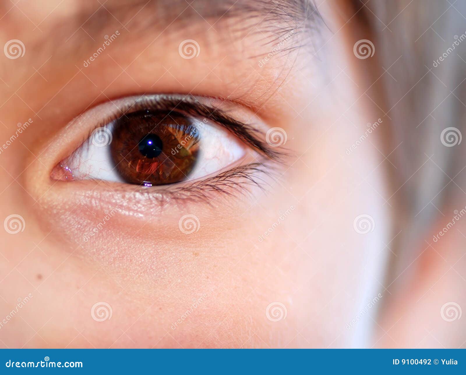 Brown eye crop stock photo. Image of farsighted, fresh - 9100492