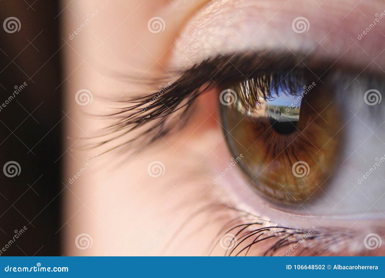 1,878 Window Reflection Eye Stock Photos - Free & Royalty-Free Stock ...